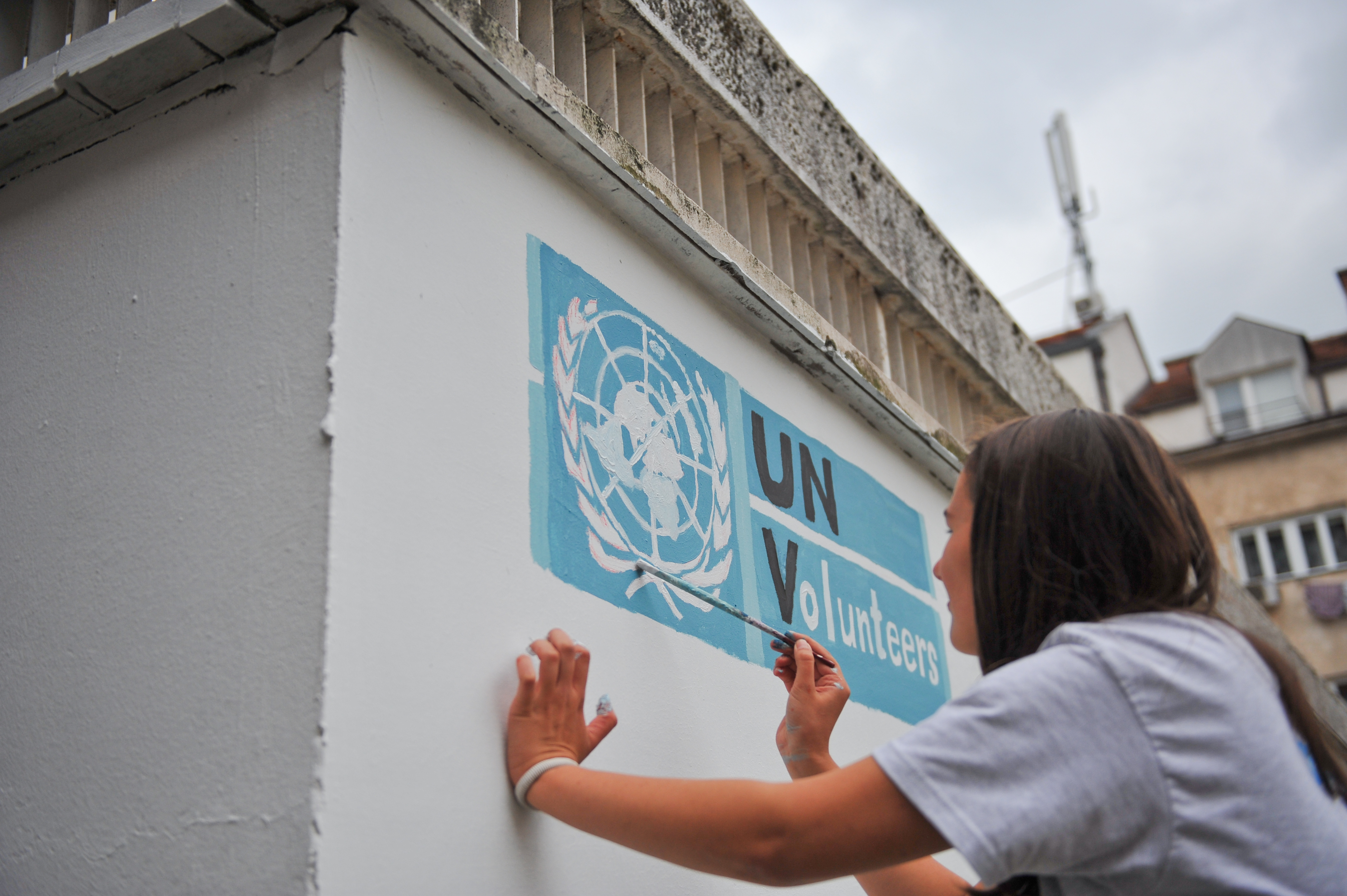 United Nations Volunteers ECAMPUS